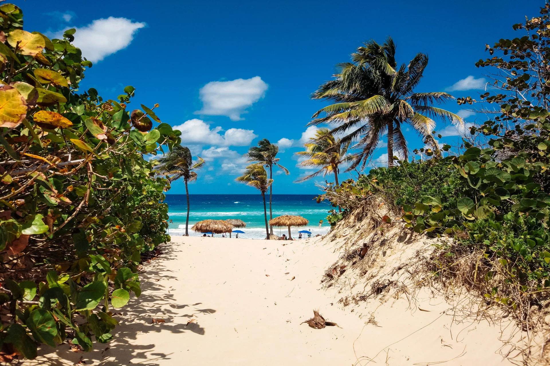 ¿Dónde está y qué hacer en el Caribe? [Guía completa]